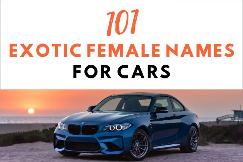101 Exotic Female Names For Cars A Must Know Guide Fearless Names 101 Exotic Female Names For Cars A Must Know Guide Fearless Names