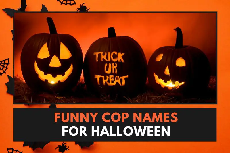 25 Hilariously Funny Cop Names For A Memorable Halloween Fearless Names
