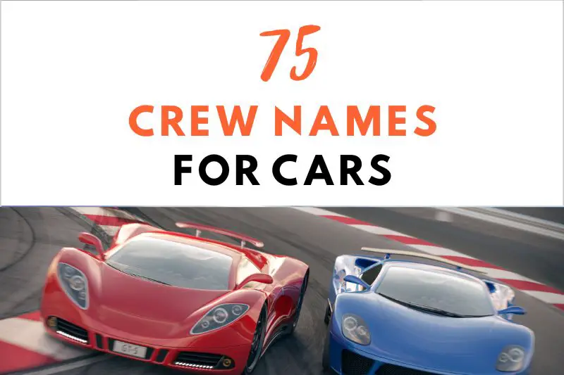 75 Captivating Crew Names For Cars Fearless Names