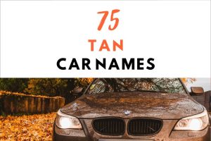 75 Fun and Creative Tan Car Names - Fearless Names