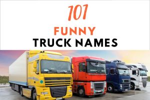 101 Laugh-Out-Loud Funny Truck Names To Make Heads Turn - Fearless Names