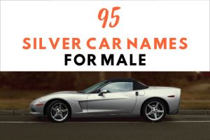 95 Dashing Masculine Silver Car Names: For Men with Style - Fearless Names
