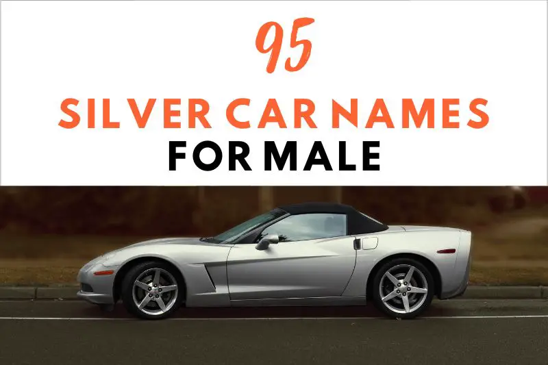 95 Dashing Masculine Silver Car Names For Men With Style Fearless Names