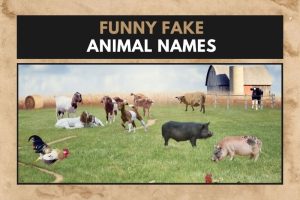 51 Absurdly Funny Fake Animal Names For a Good Laugh - Fearless Names